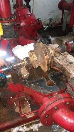 Jadwal Inspeksi dan Pemeliharan Fire Hydrant System